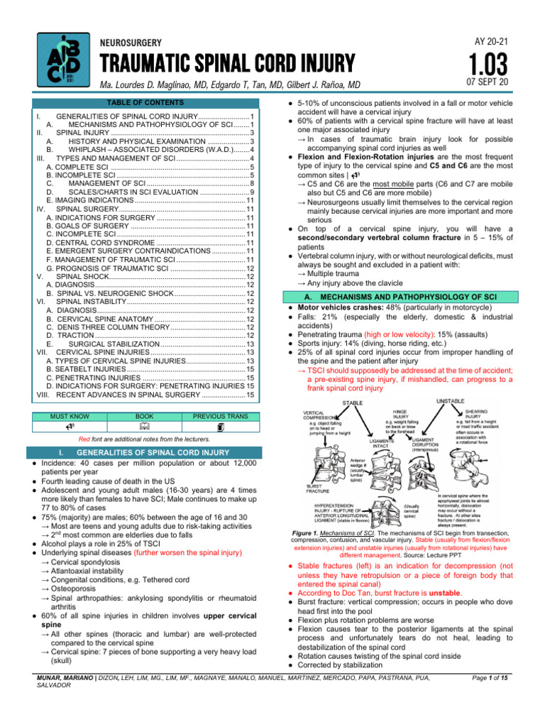 (NS) 03 Traumatic Spinal Injury | PDF | Spinal Cord Injury | Spinal Cord