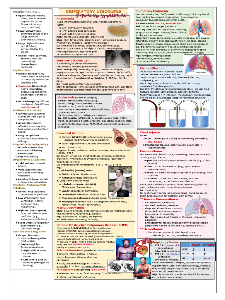 Respiratory 20 Disorders 1 | PDF | Lung | Respiratory Tract