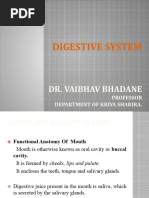 Understanding Sialogogues and Their Uses | PDF | Saliva | Medical ...