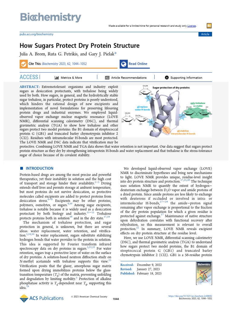2023 - How Sugars Protect Dry Protein Structure - Biochemistry 2023, 62 ...