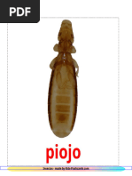 Sanitary Defect Codes Overview | PDF | Hexapoda | Insects And Humans