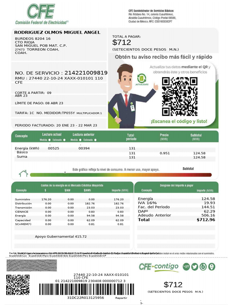 Formato cfe torreon | PDF