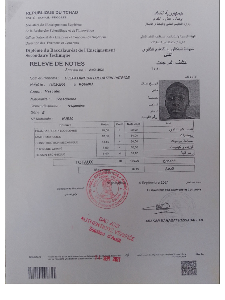 ACE Scanner_2025_02_15 | PDF