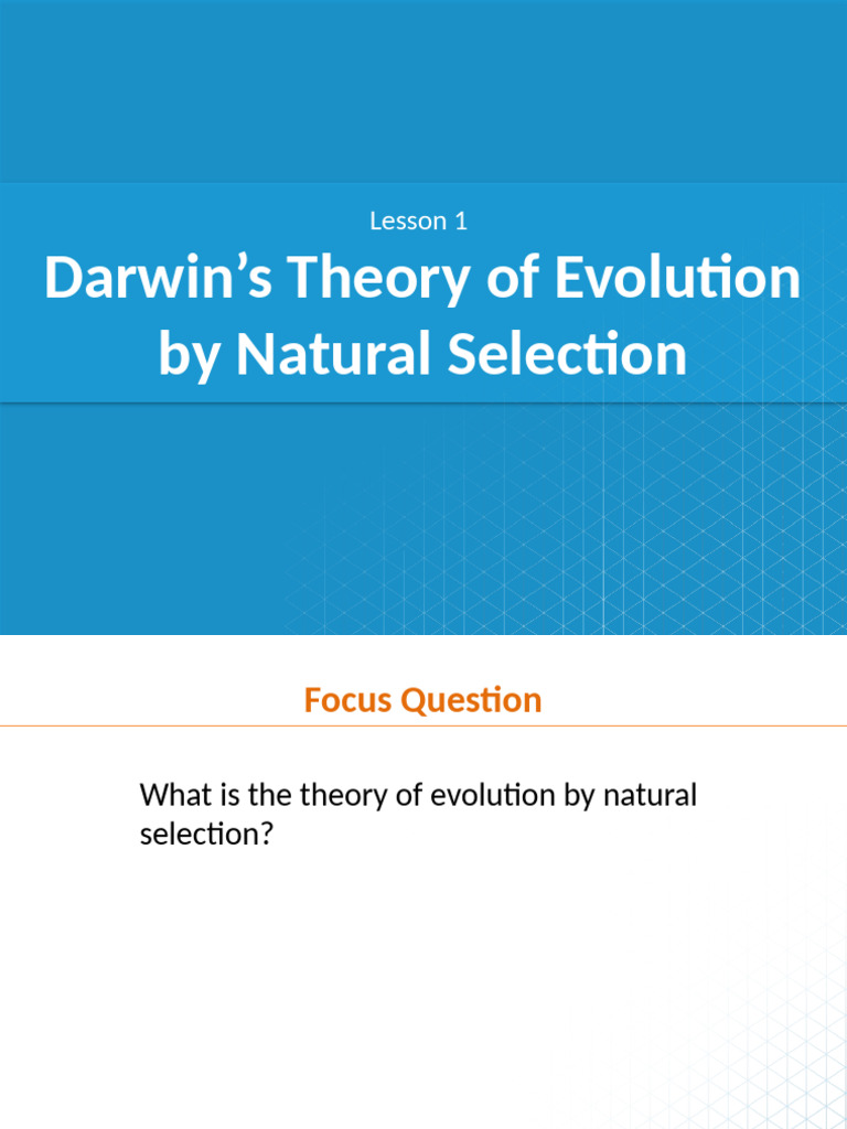 Lesson 1 Darwins Theory of Evolution by Natural Selection | PDF ...