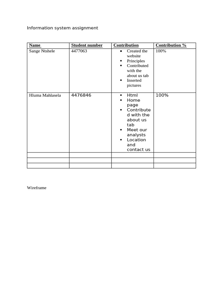 Information System Assignment | PDF