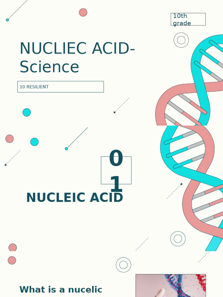 Understanding Nucleic Acids and Biomolecules | PDF | Nucleic Acids ...