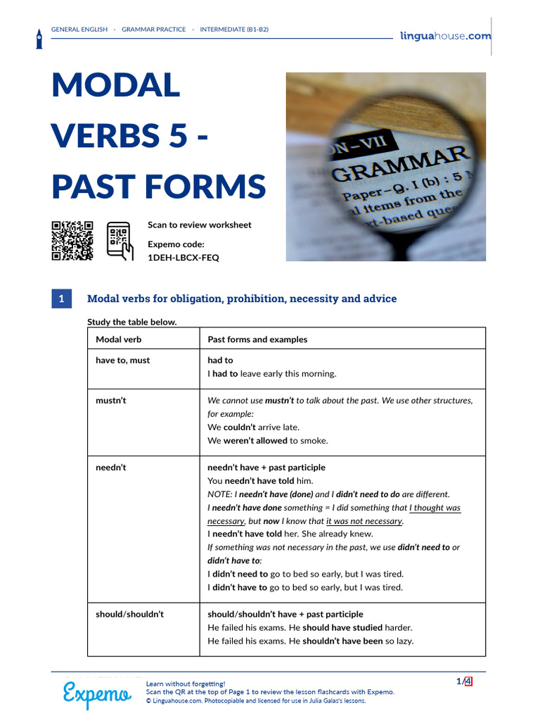 Modal Verbs: Past Forms Practice | PDF | Verb