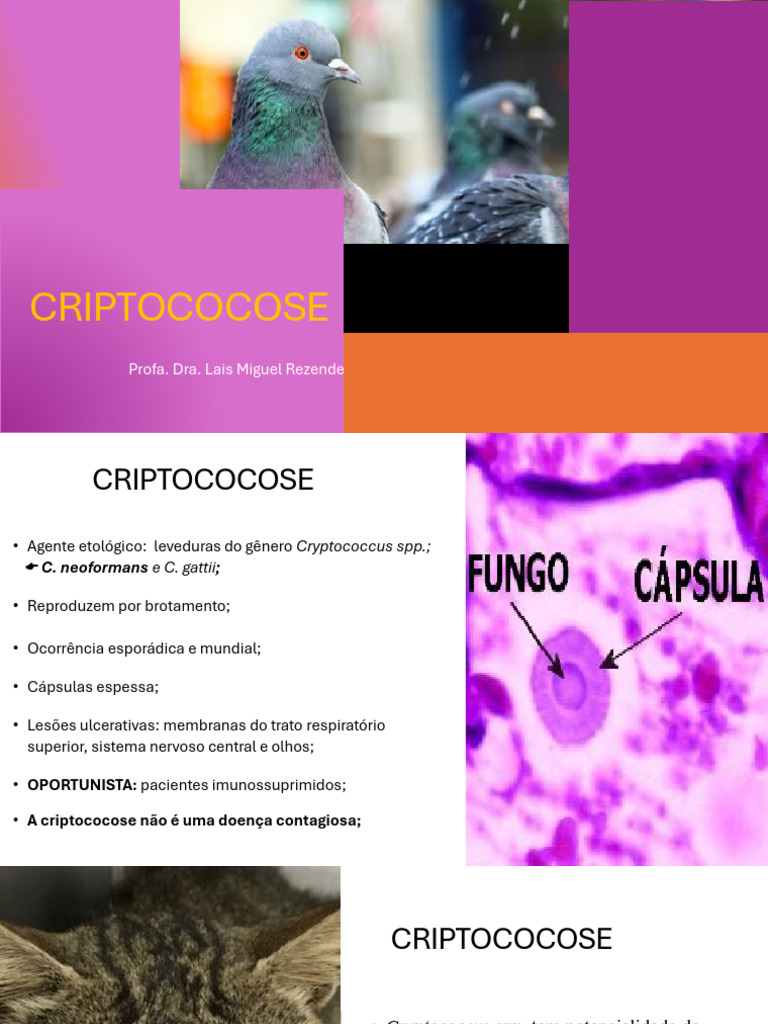 Criptococose: Causas, Sintomas e Tratamento | PDF | Patógeno | Candidíase