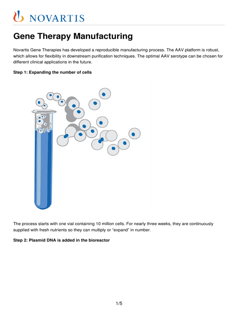 Gene Therapy Manufacturing Process Flow | PDF | Gene Therapy | Vector ...
