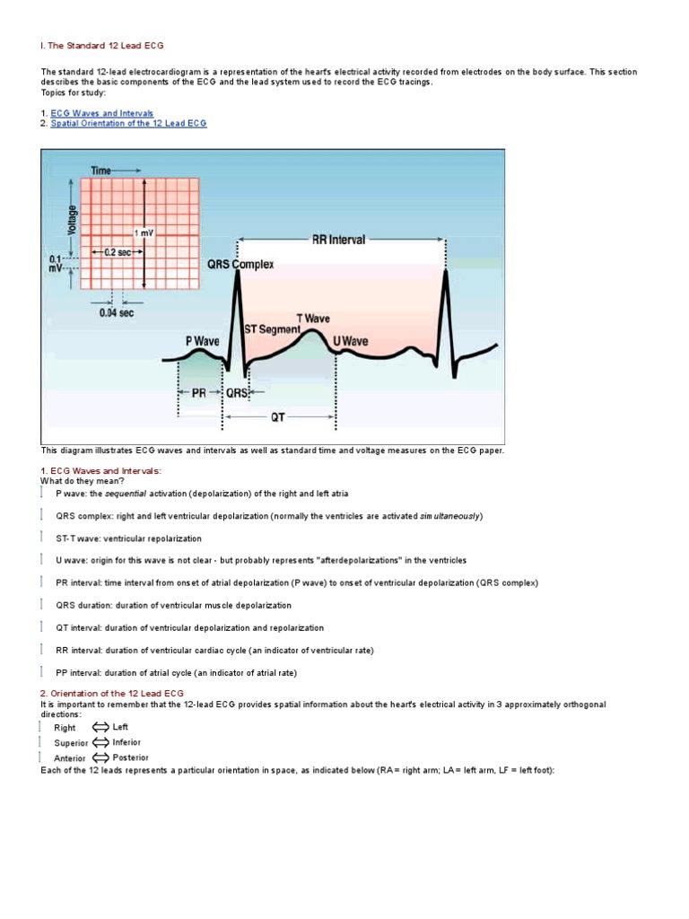 Ecg | PDF | Electrocardiography | Heart