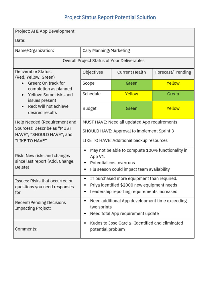 Project Status Report Potential Solution | PDF