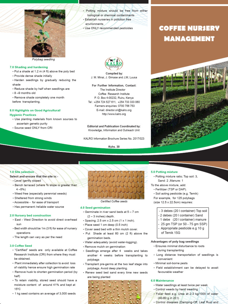 Coffee Nursery Management Guide | PDF | Plant Nursery | Seed