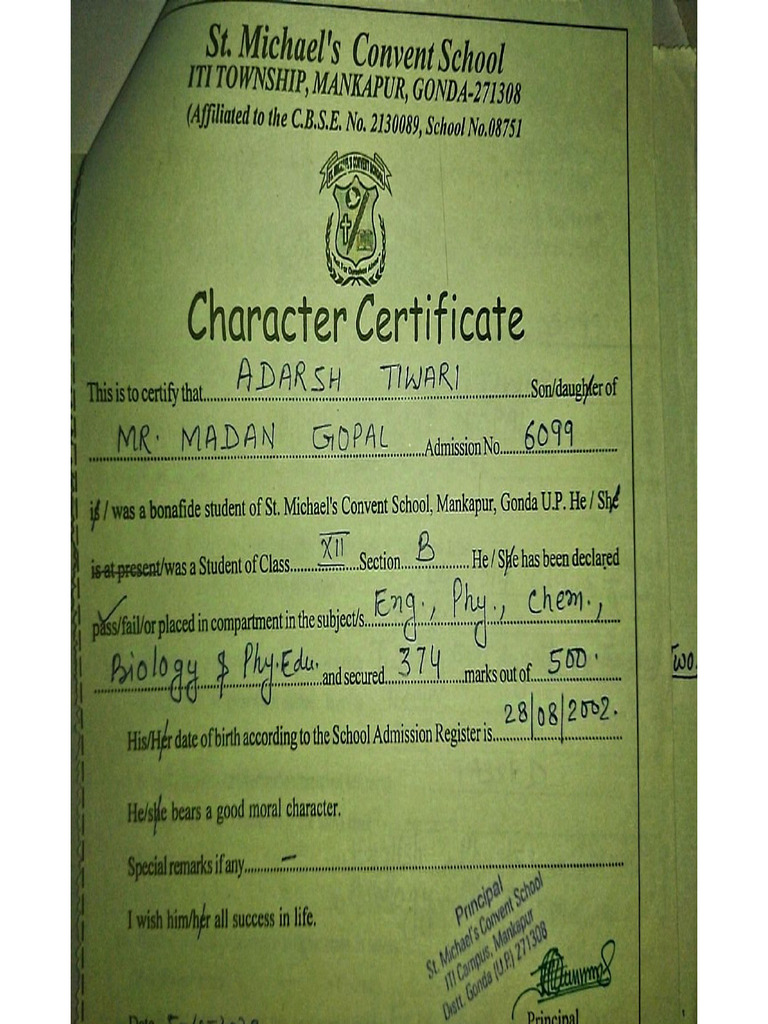Character Certificate | PDF