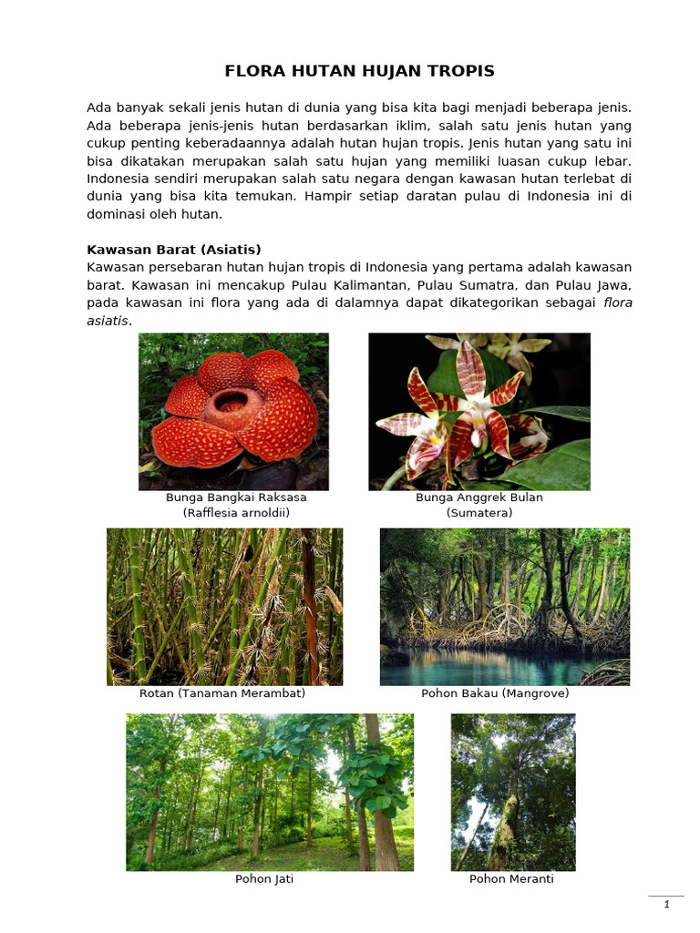 Flora Hutan Hujan Tropis (Indonesia) | PDF