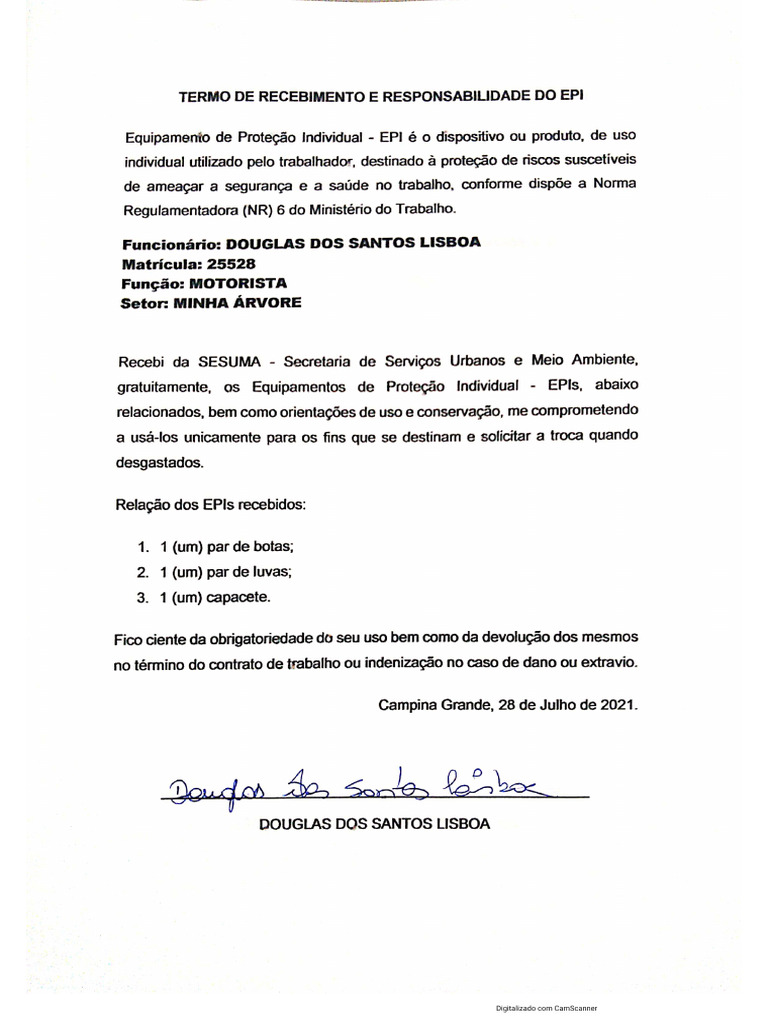 Termo de Responsabilidade Do Epi | PDF