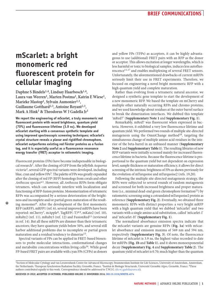 Mscarlet A Bright Monomeric Red Fluorescent Protein For Cellular Imaging | PDF | Green ...
