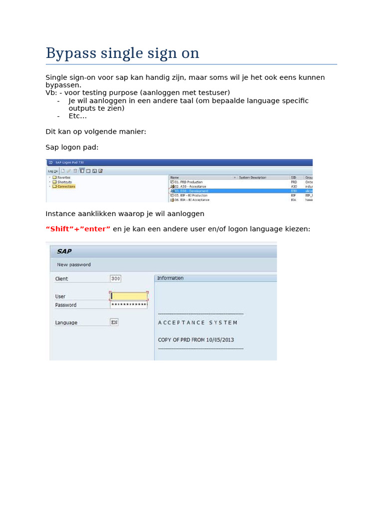 Bypass Single Sign On - Other User | PDF