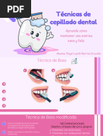 Técnica de Bass Modificada | PDF | Diente | Odontología