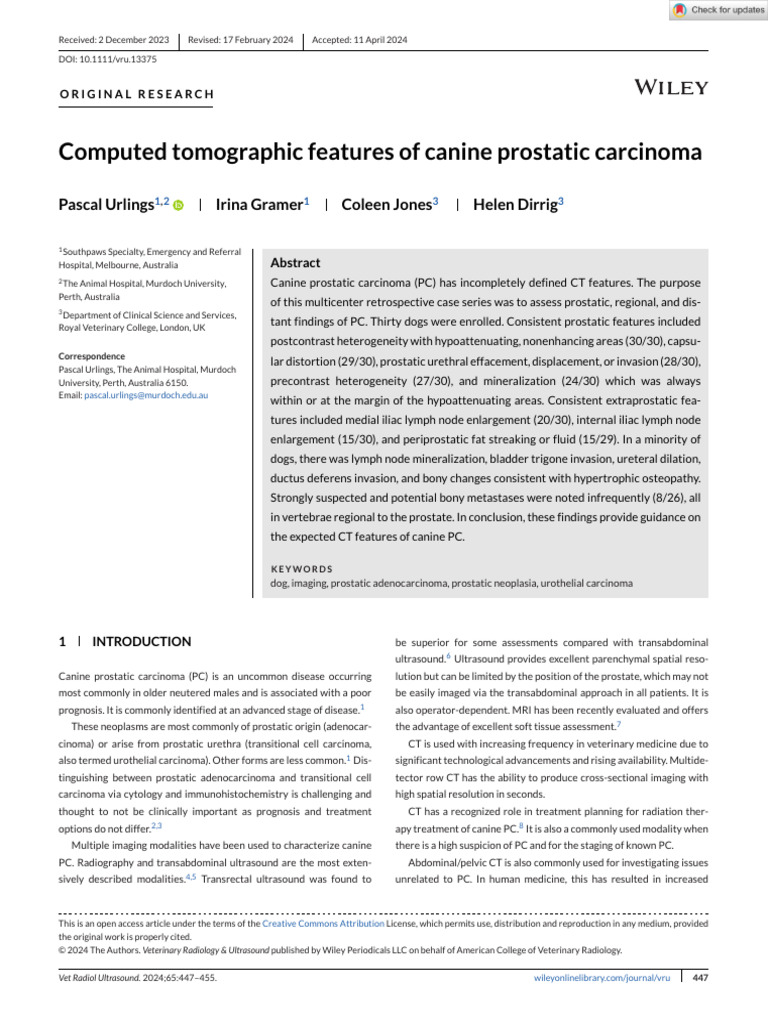 Vet Radiology Ultrasound - 2024 - Urlings - Computed Tomographic ...