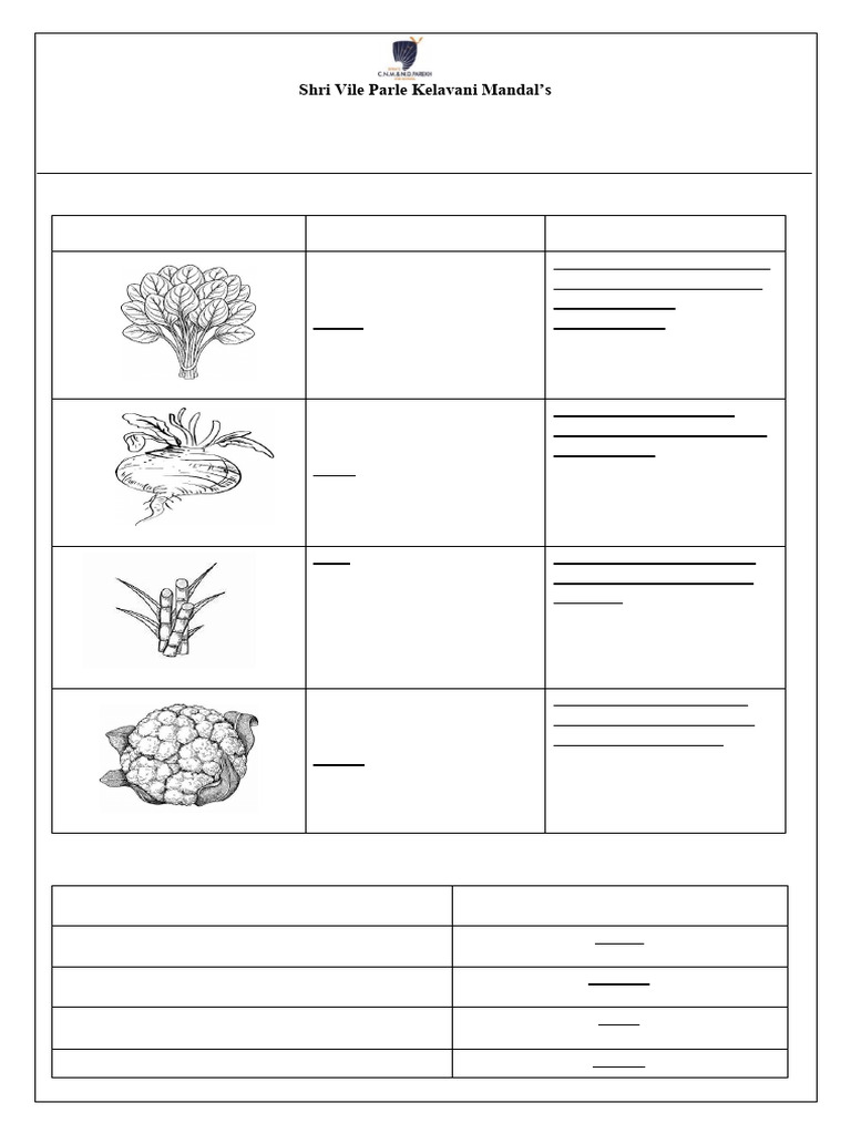 Class 4 Plants Around Us Worksheet | PDF | Leaf | Plants
