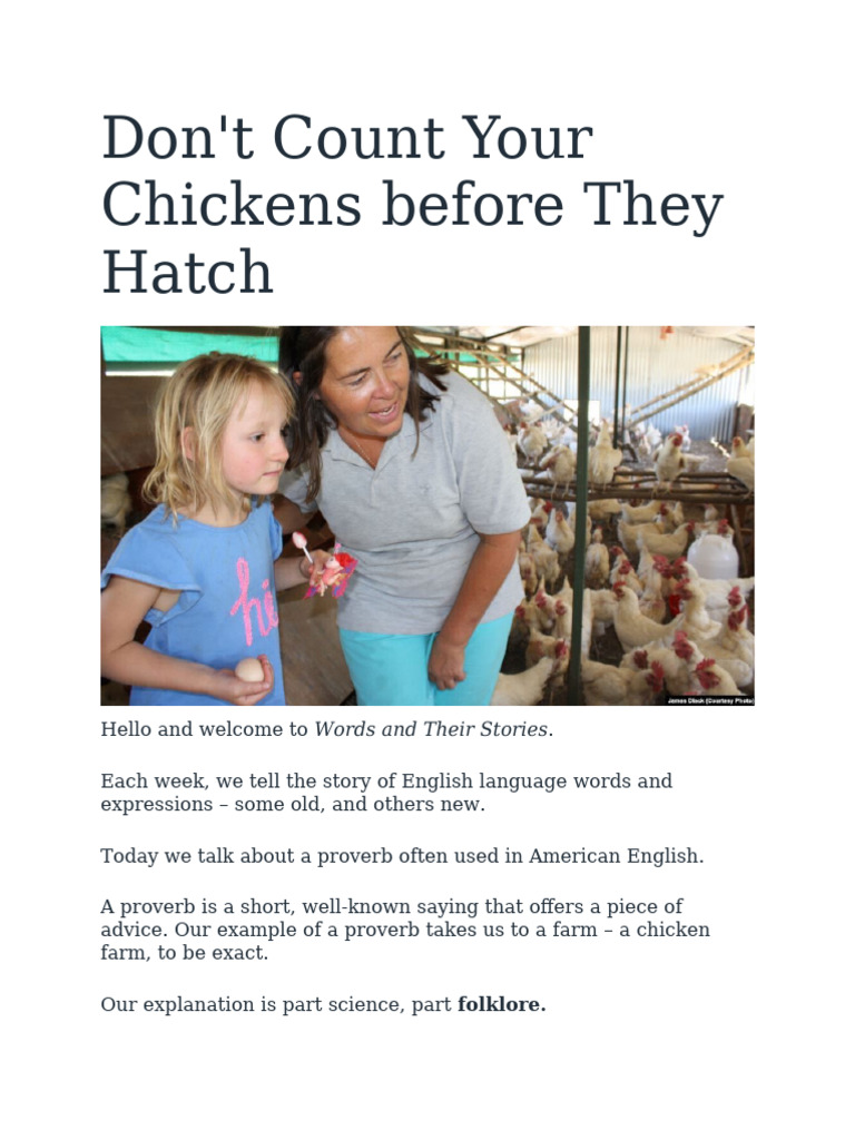 Understanding "Don't Count Your Chickens" | PDF | Chicken