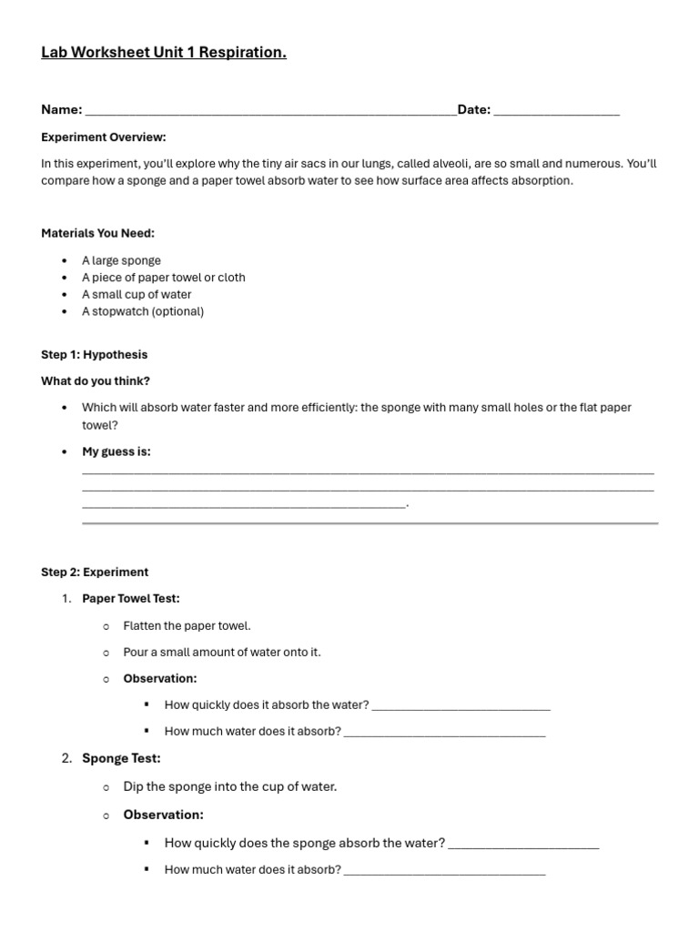 U.1 Lab (Alvioli Surface Area Area) | PDF | Lung