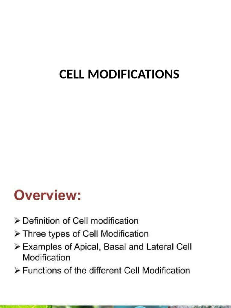 Cell Modifications | PDF