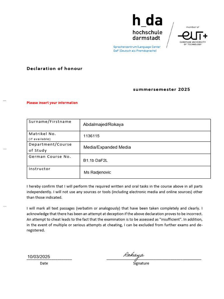 Declaration of Honour - SS2025 | PDF