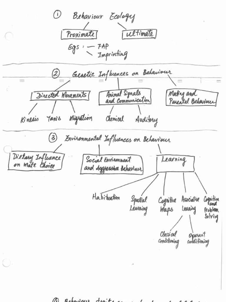 Behaviour Ecology Tree Diagram | PDF