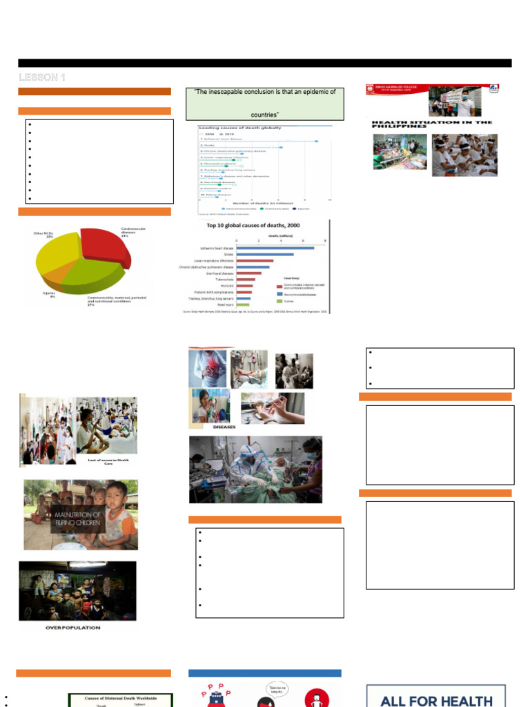 CHN Lesson 1-4 | PDF | Public Health | Nursing