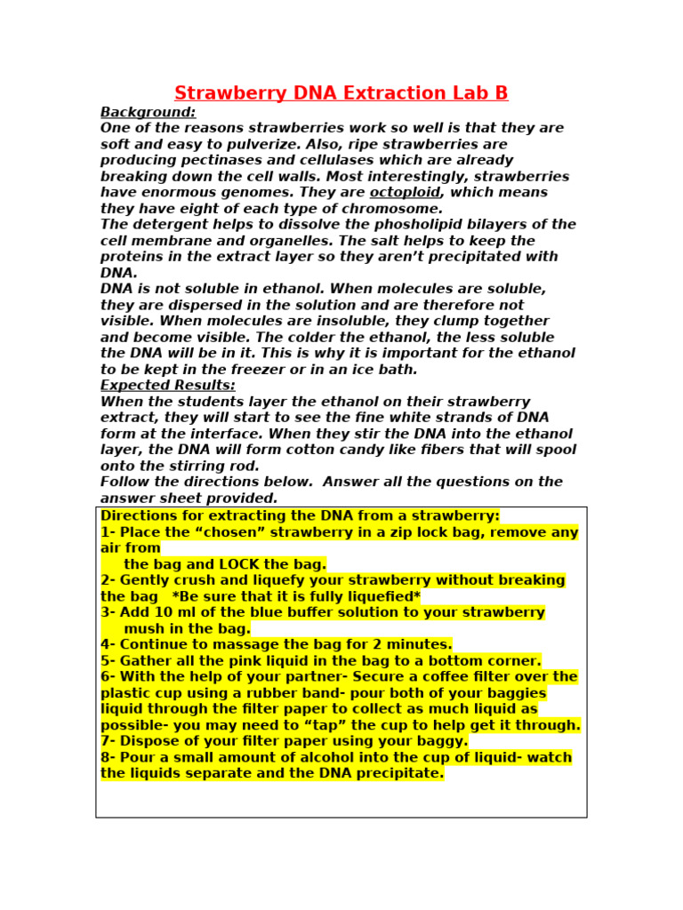 Role of Ethanol in Strawberry DNA Lab | PDF | Translation (Biology ...