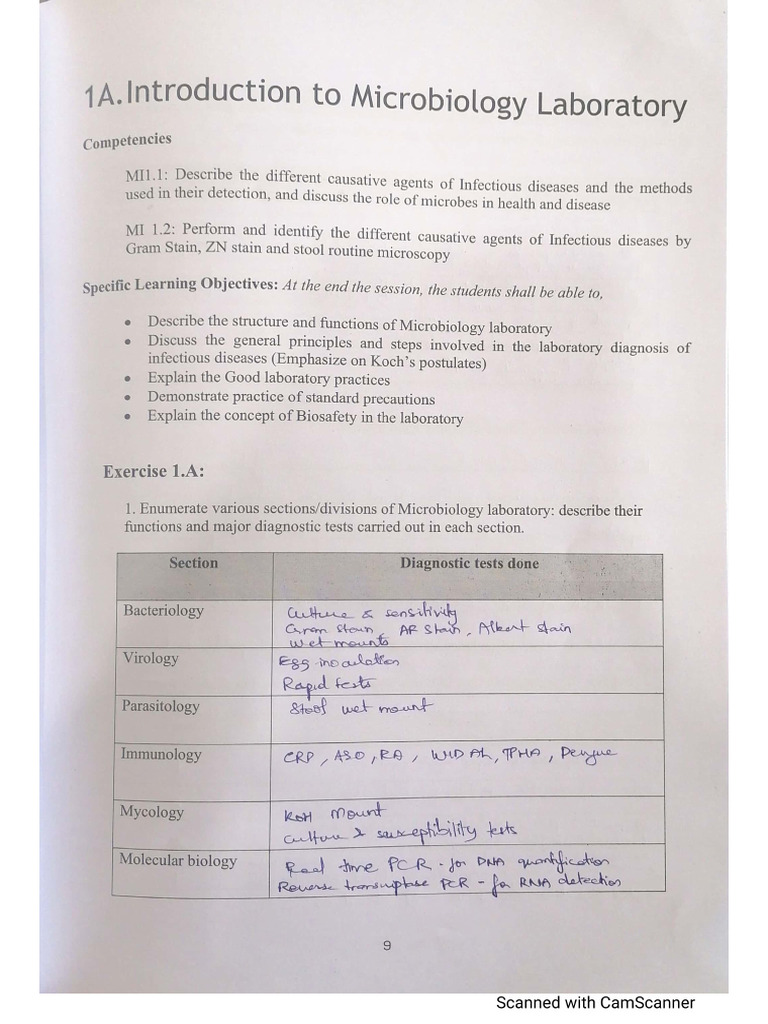 Micro Record. Mfo | PDF