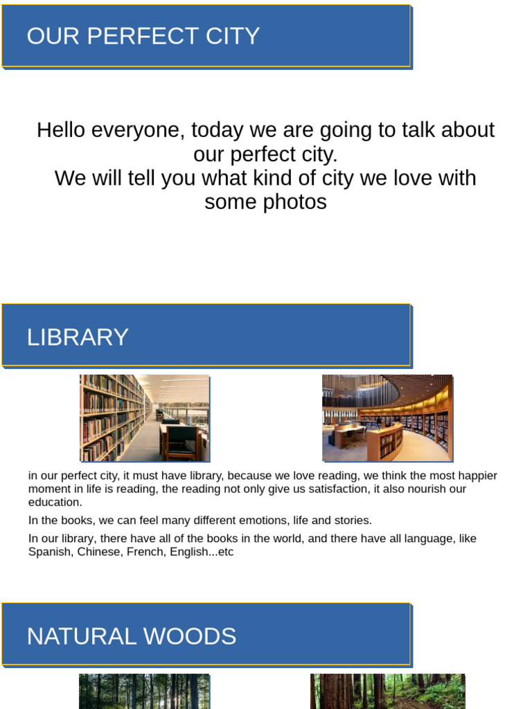 Our Perfect City | PDF