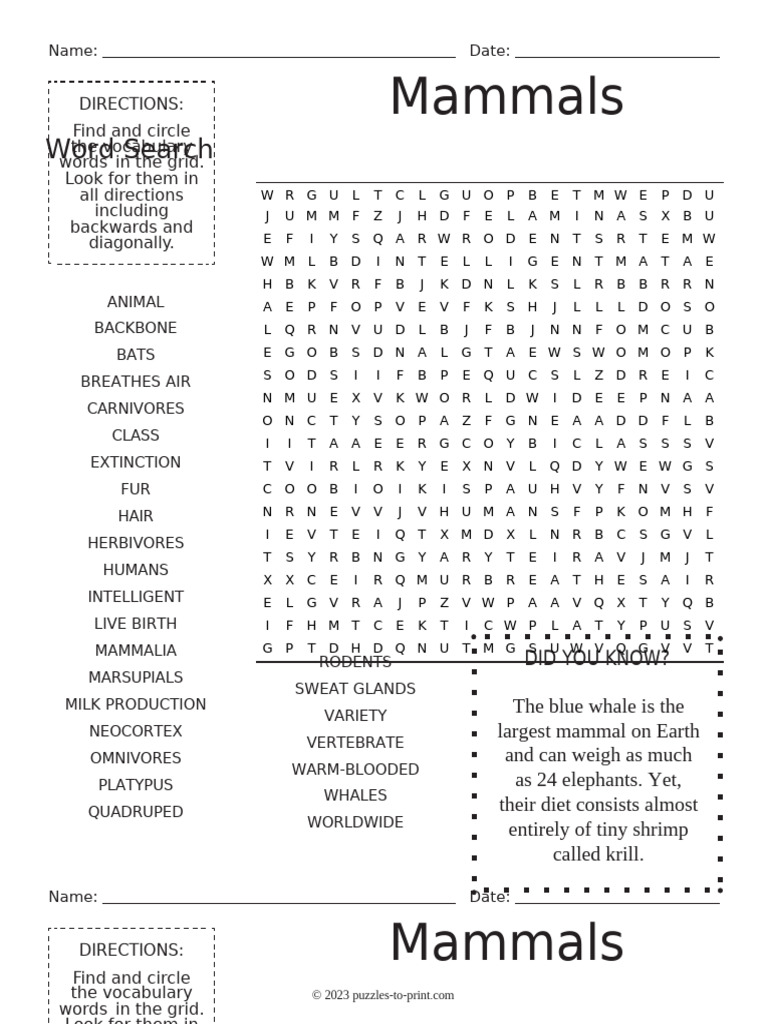 Word Search 1 | PDF | Mammals | Zoology