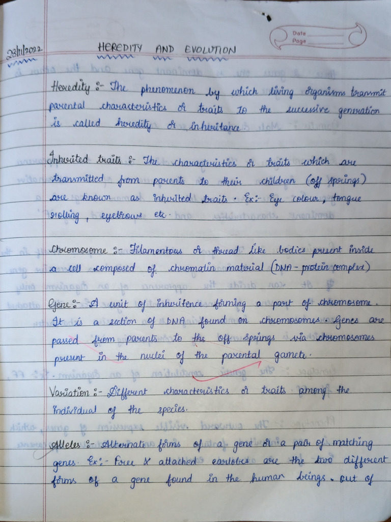 Heredity Notes | PDF