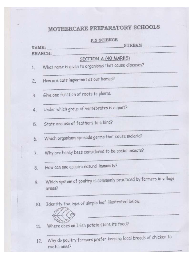 p.5 Science Revision | PDF