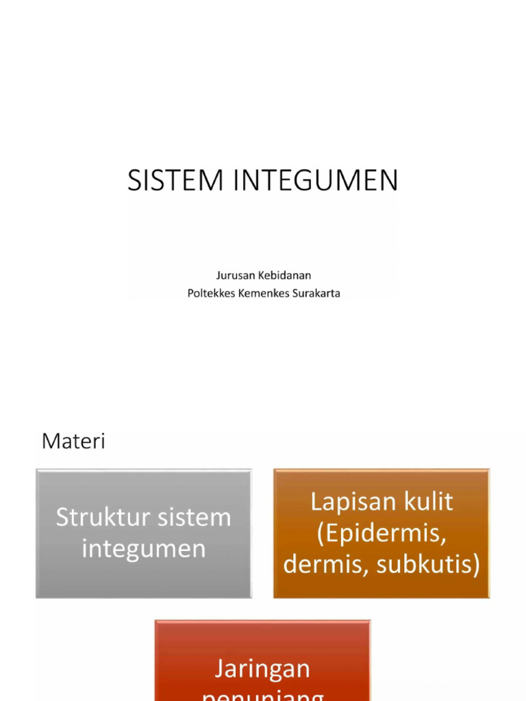 Sistem-Integumen | PDF
