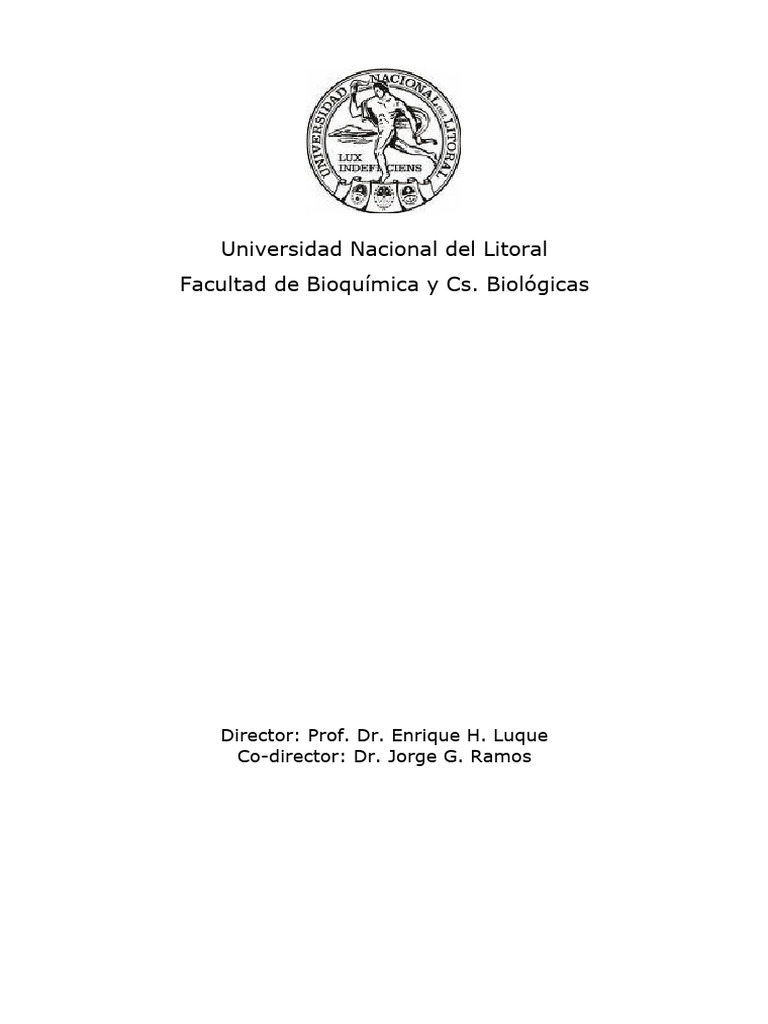 Estrógenos Ambientales Y Angiogénesis Uterina Pdf Hormona