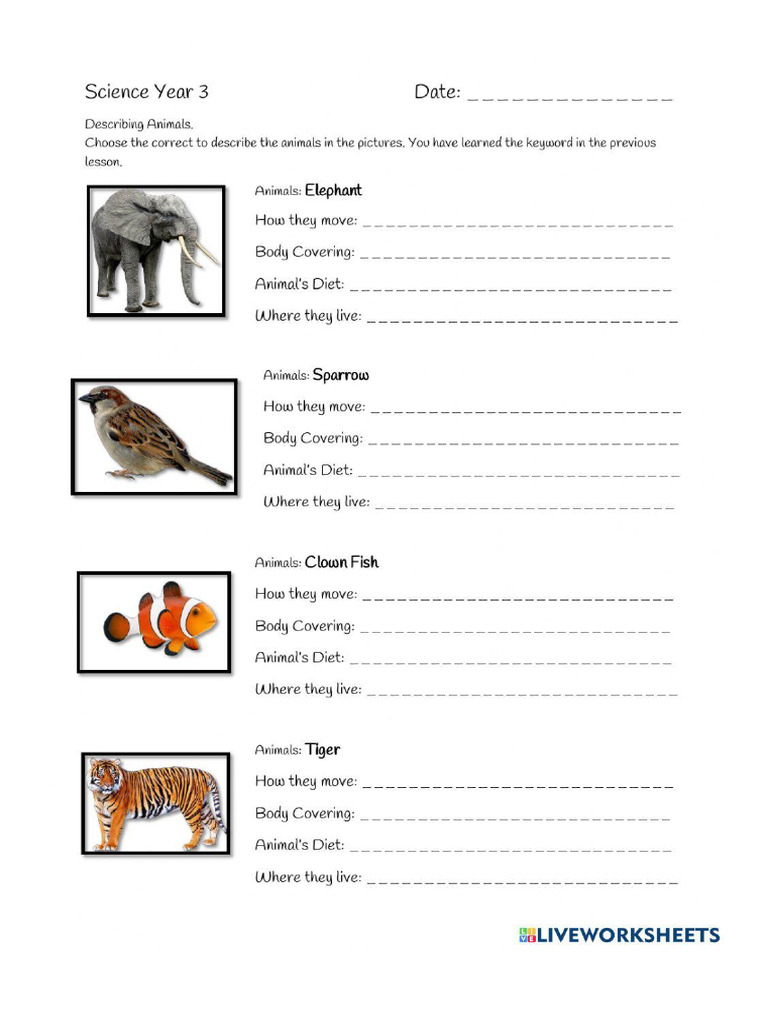 Animals | PDF