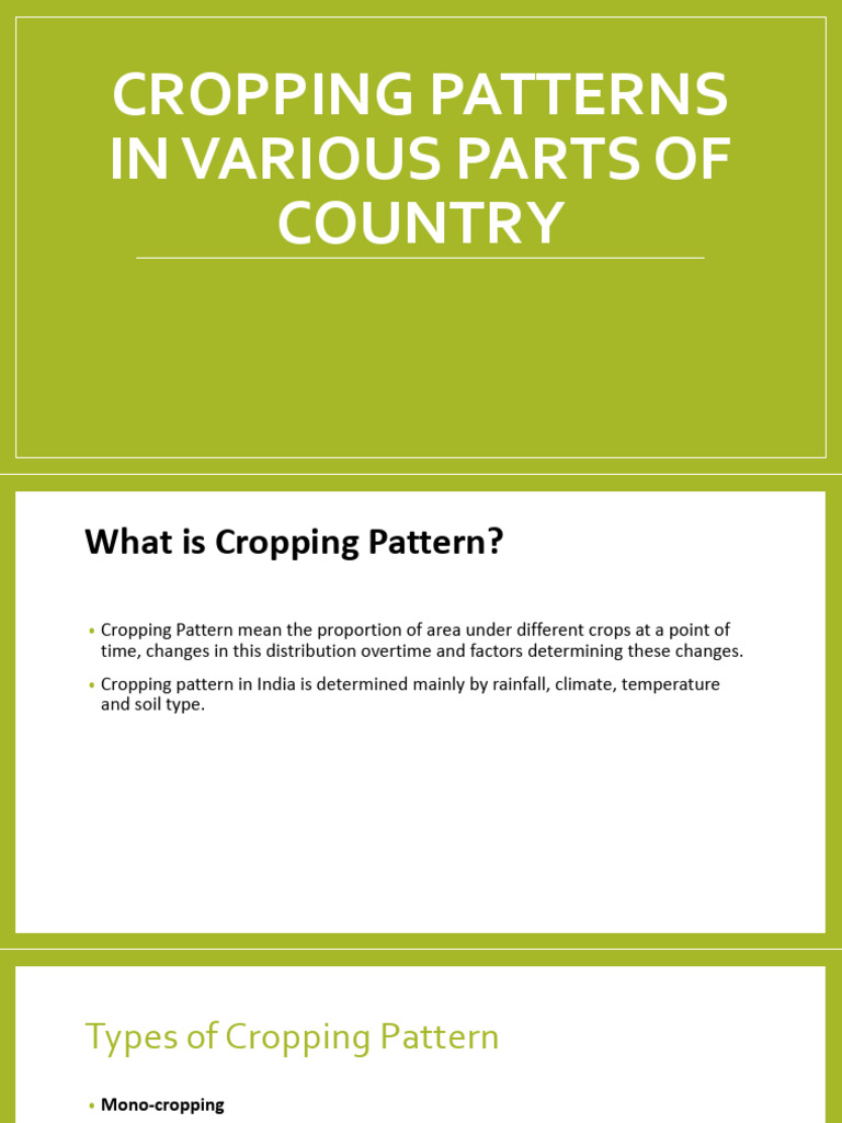 Cropping Pattern in India | PDF | Crop Rotation | Crops