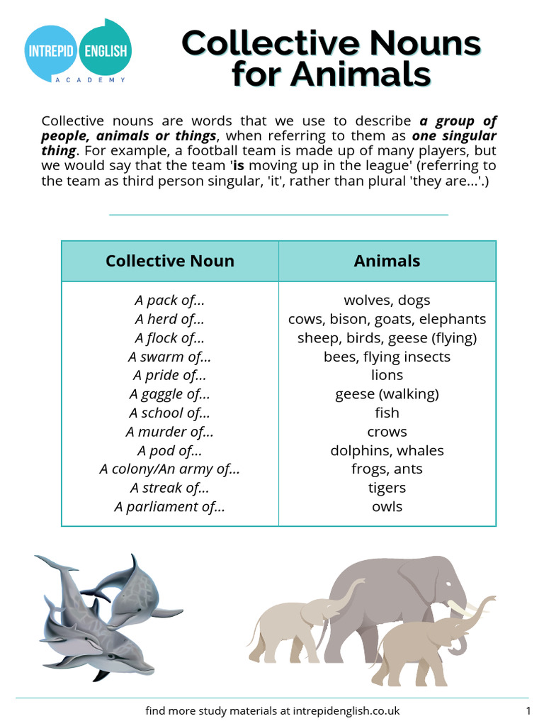 Animal Vocabulary Worksheet | PDF | Zoology