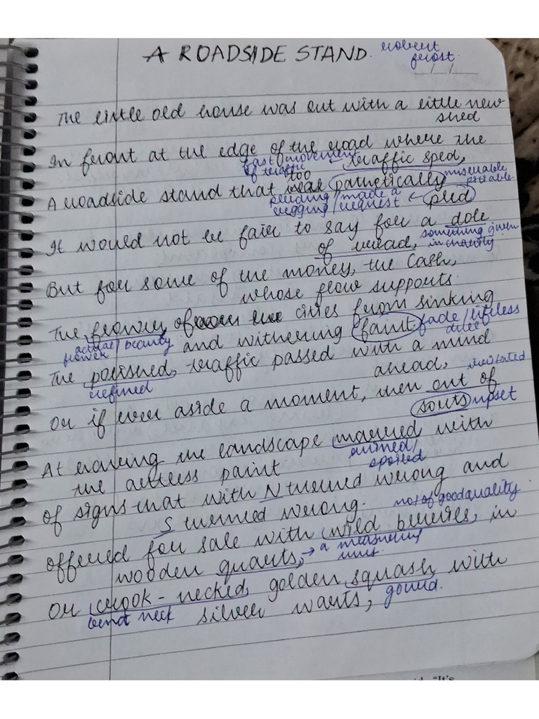 A Roadside Stand Summary Handwritten | PDF
