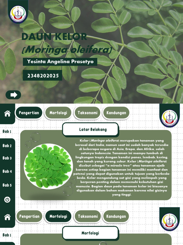 Daun Kelor (Moringa Oleifera) | PDF