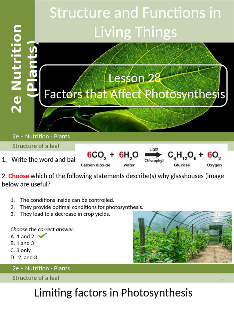 L28 Factors That Affect Photosynthesis (THEORY) LMD | PDF ...