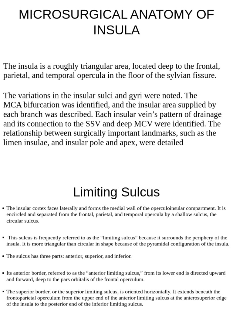 Microsurgical Anatomy of Insula | PDF | Insular Cortex | Cerebral Cortex