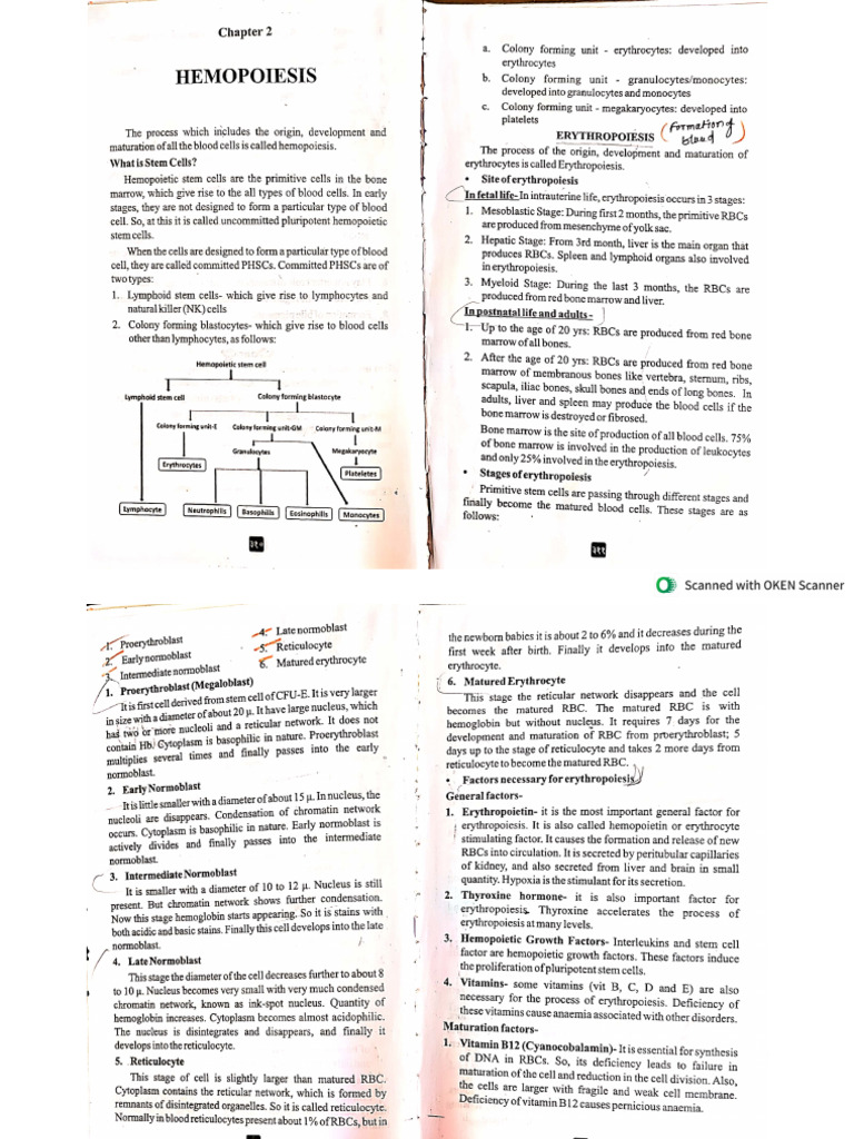 Kriya 2 Pre Ut | PDF