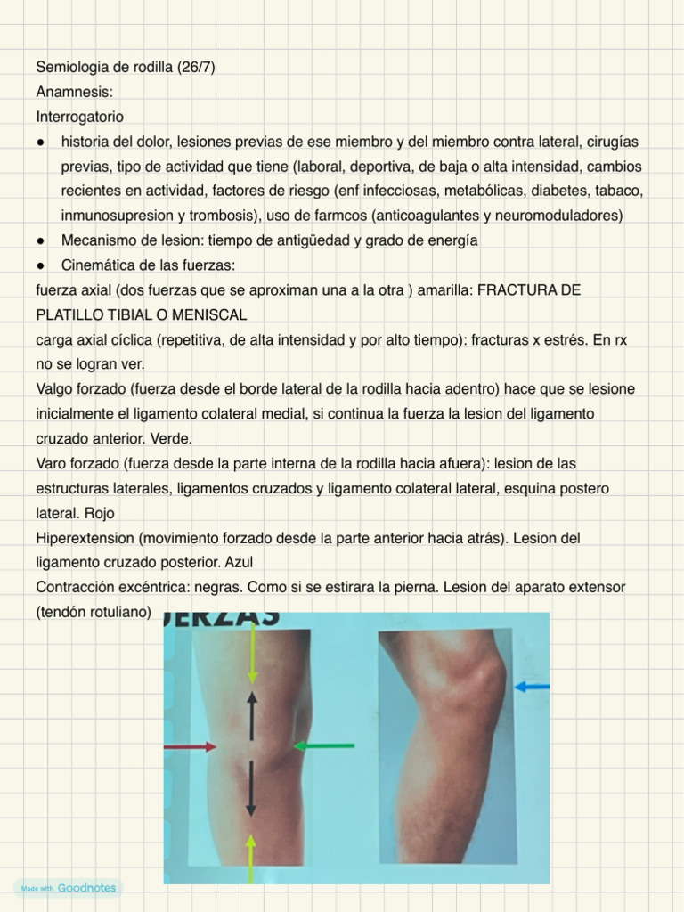 Semiología de la Rodilla: Evaluación y Lesiones | PDF | Rodilla ...