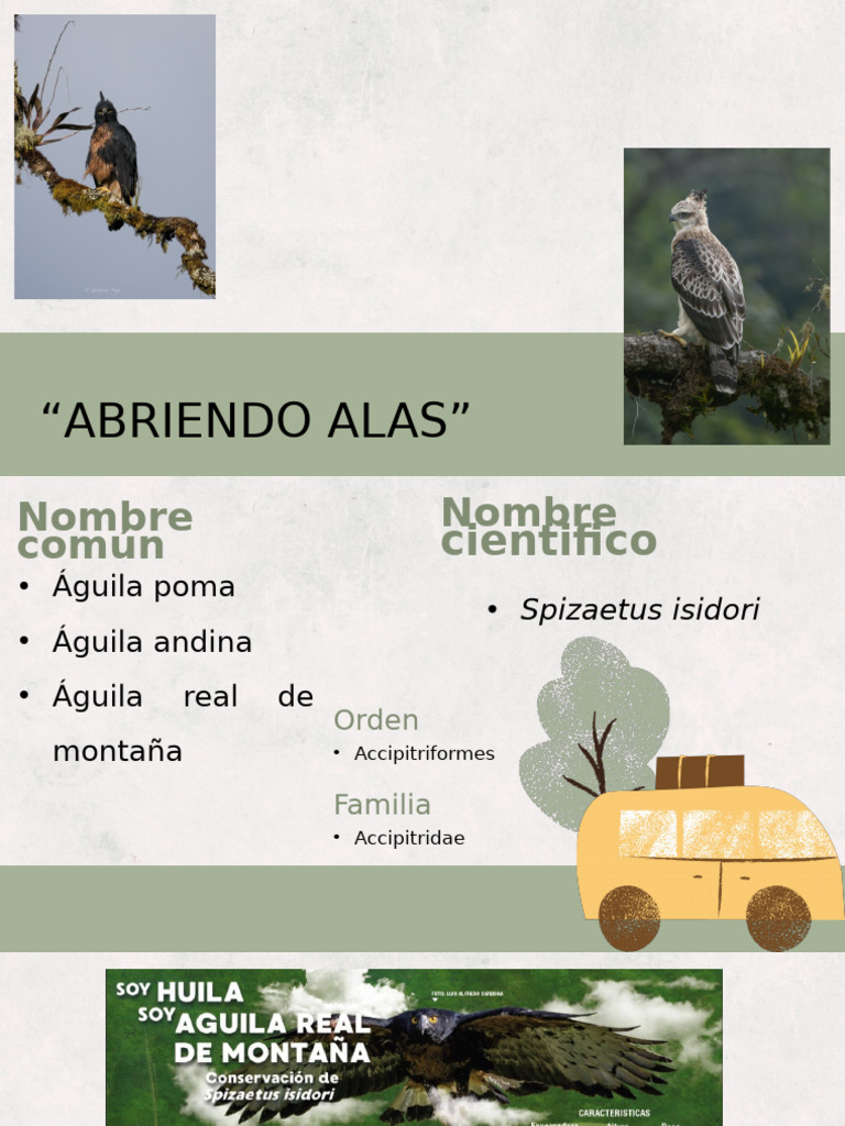 Abriendo Alas | PDF