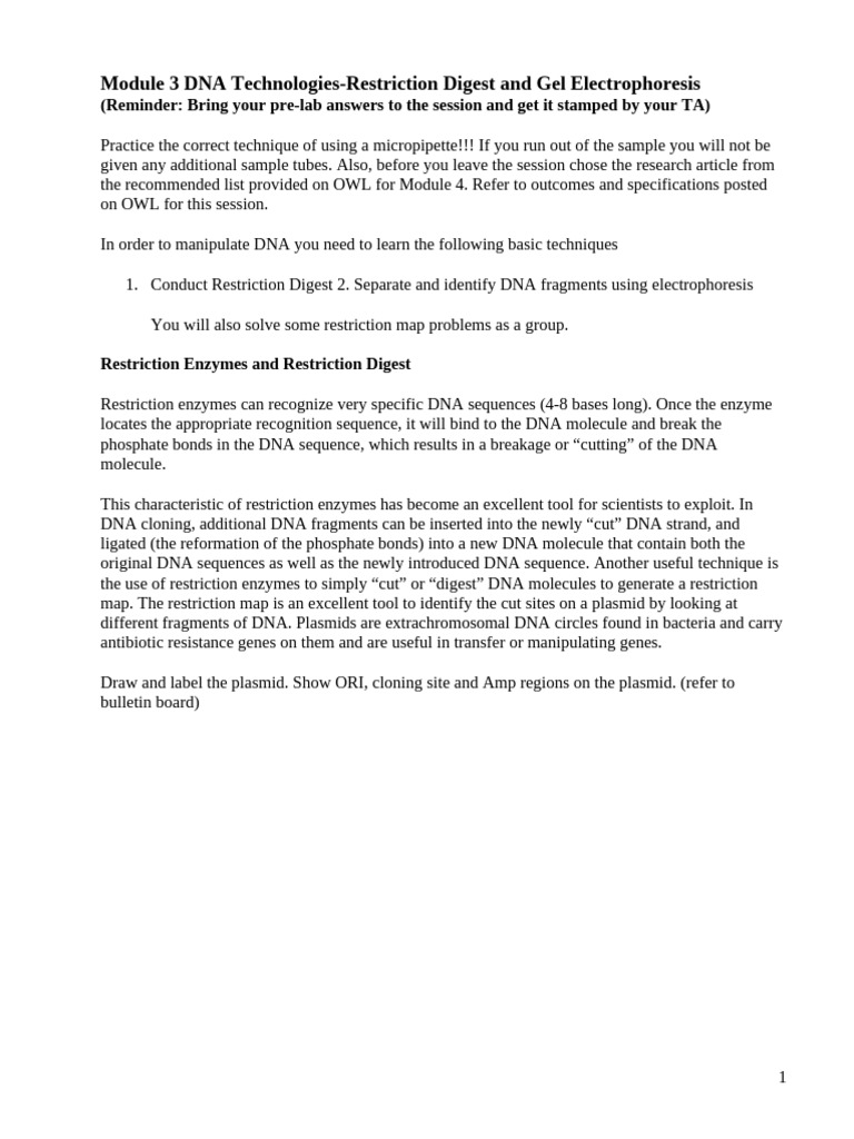 DNA Techniques: Restriction Digest & Electrophoresis | PDF | Agarose ...