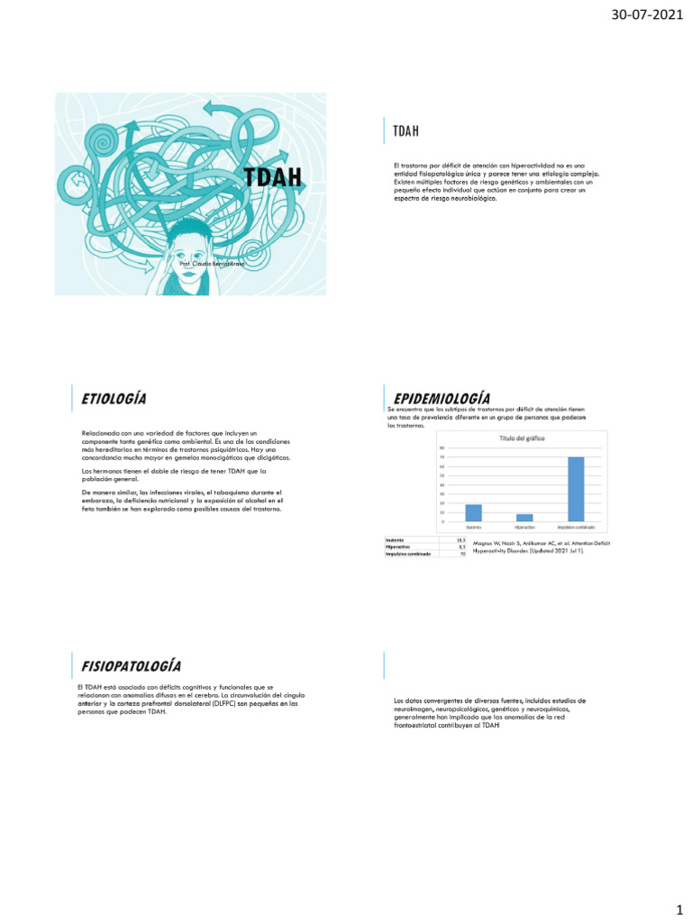 Tdah 2021 Edi Upla | PDF